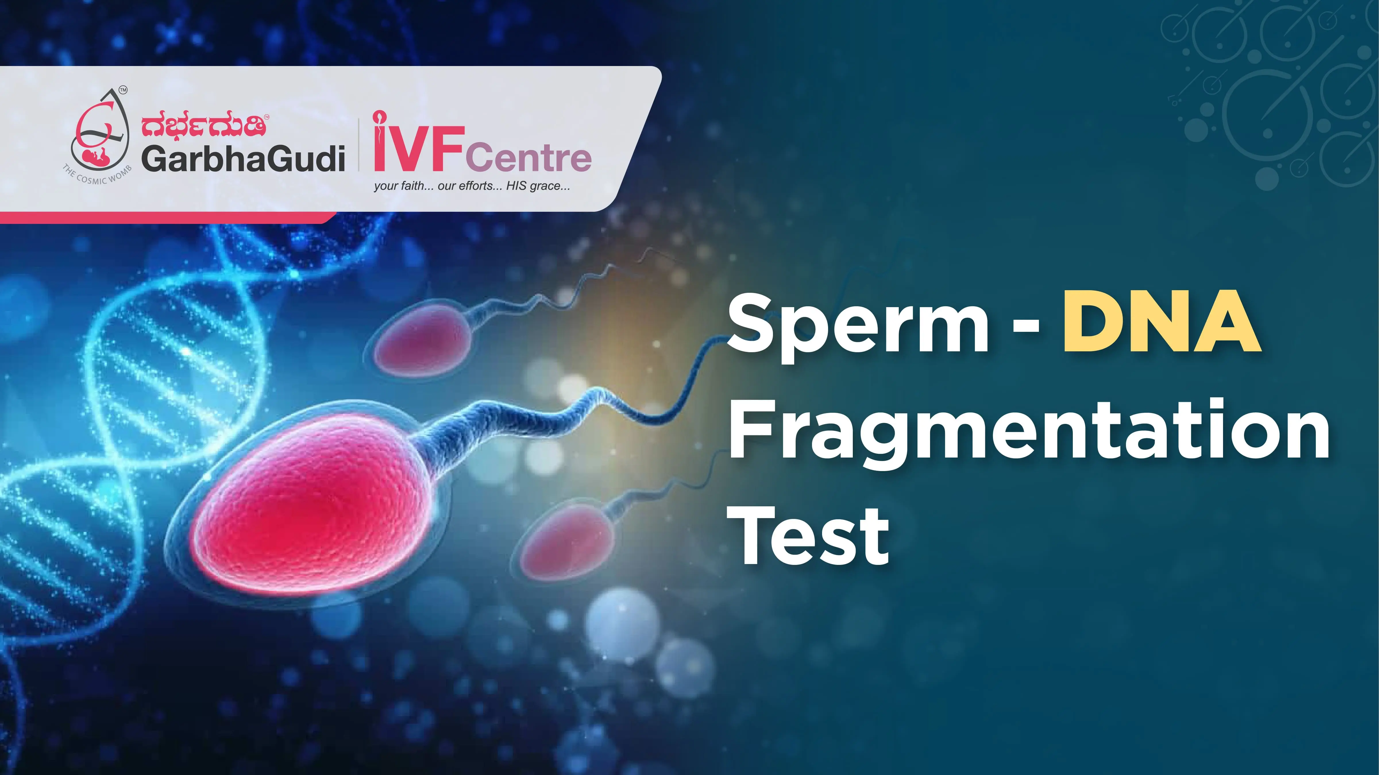 Sperm DNA Fragmentation Test