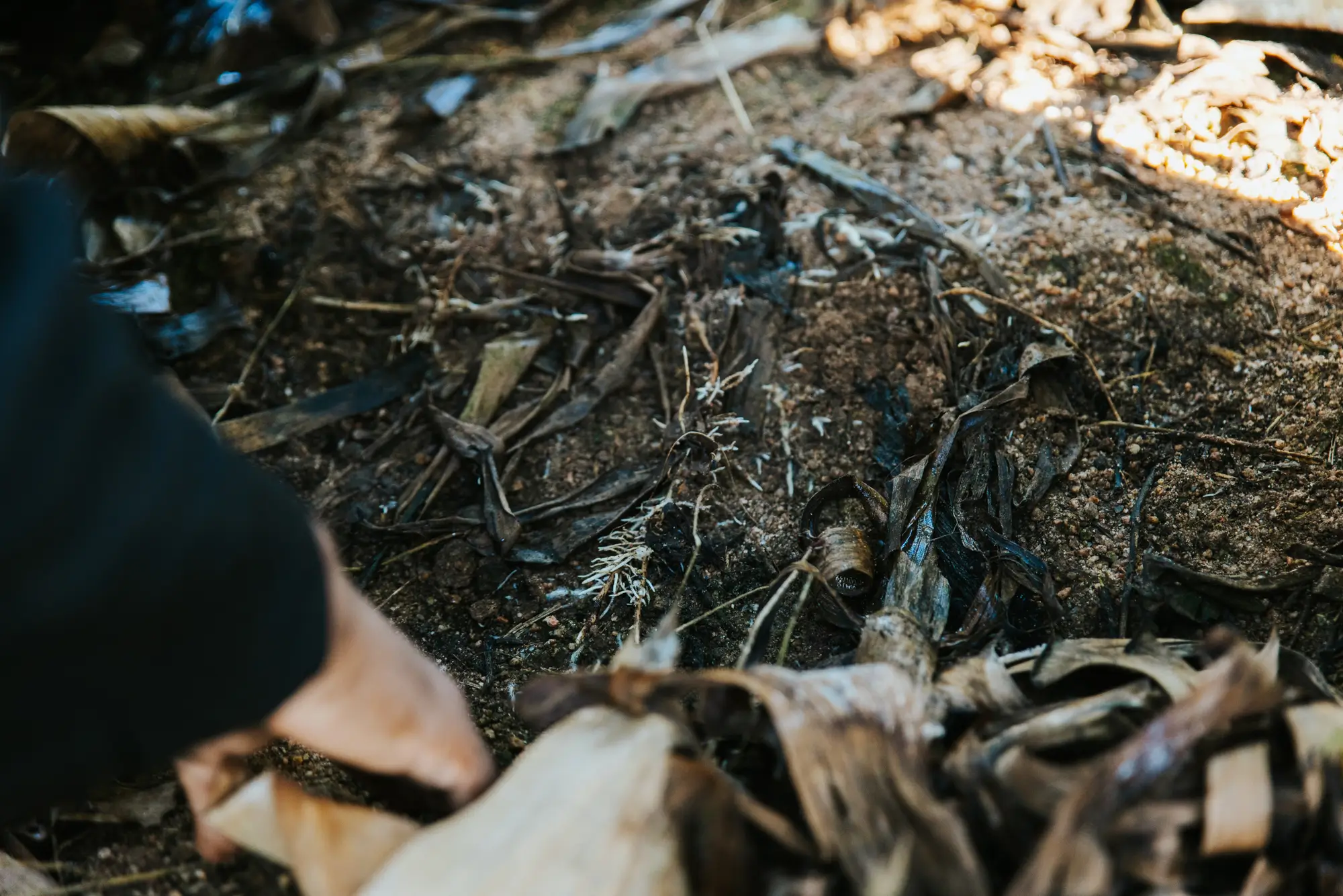 Nu-Flow™ Cal Lift | Suspension Lime | Soil pH Correction | Australian ...